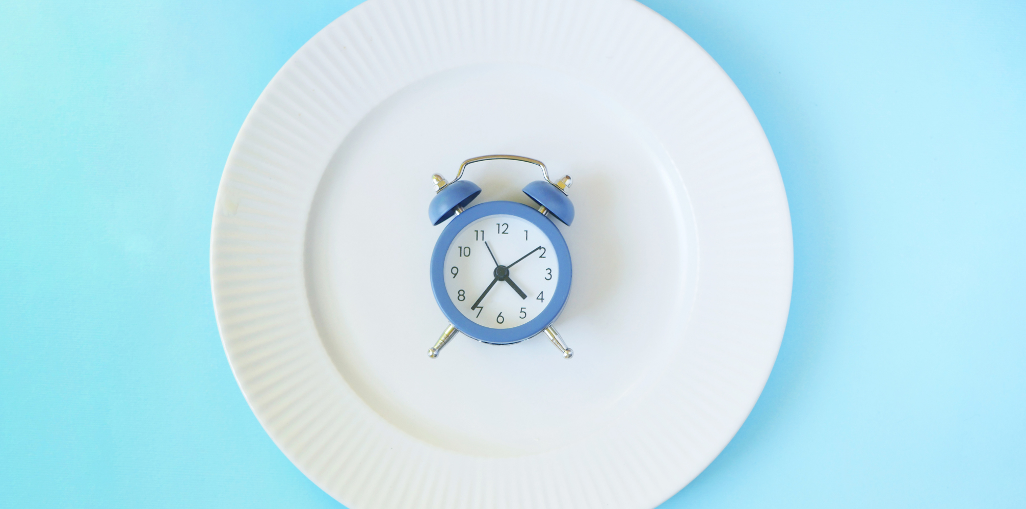 How does energy metabolism work and why is it such a key process in the ...